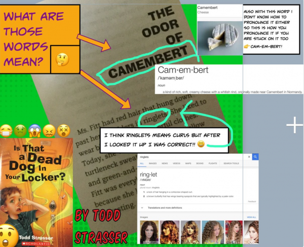 #BookSnaps – Student Examples – Be REAL